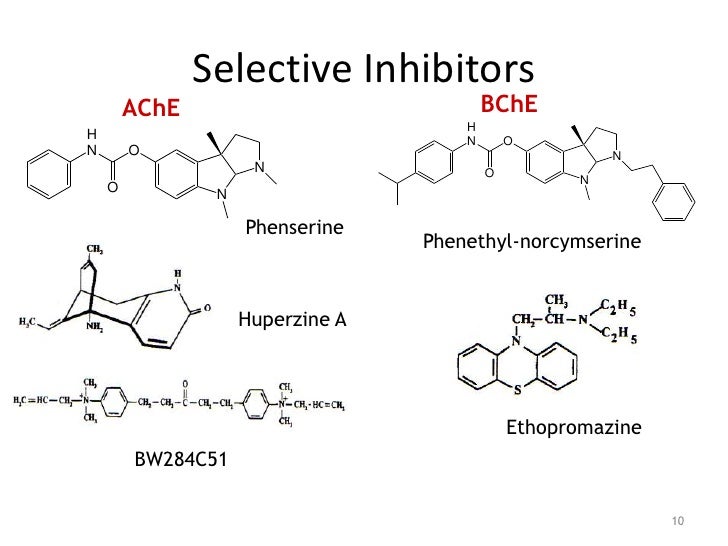 Butyrylcholinesterase Overview: Substrates Inhibitors Structure Mecha…