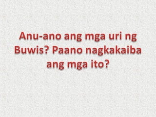 Buwis | PPT