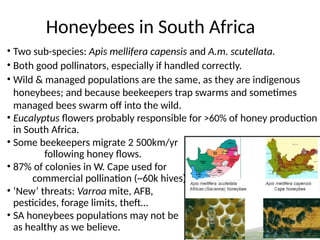 buzz-educatorspowerpoints.pptx pollination biology | PPT