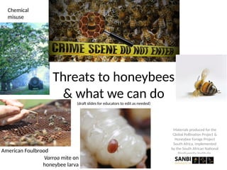 buzz-educatorspowerpoints.pptx pollination biology | PPT