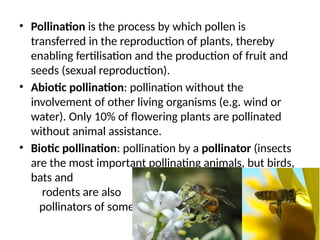 buzz-educatorspowerpoints.pptx pollination biology | PPT