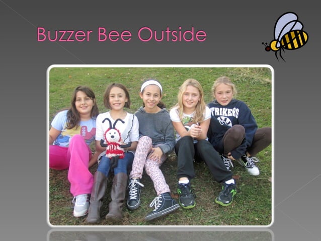 Buzzer Bee | PPT