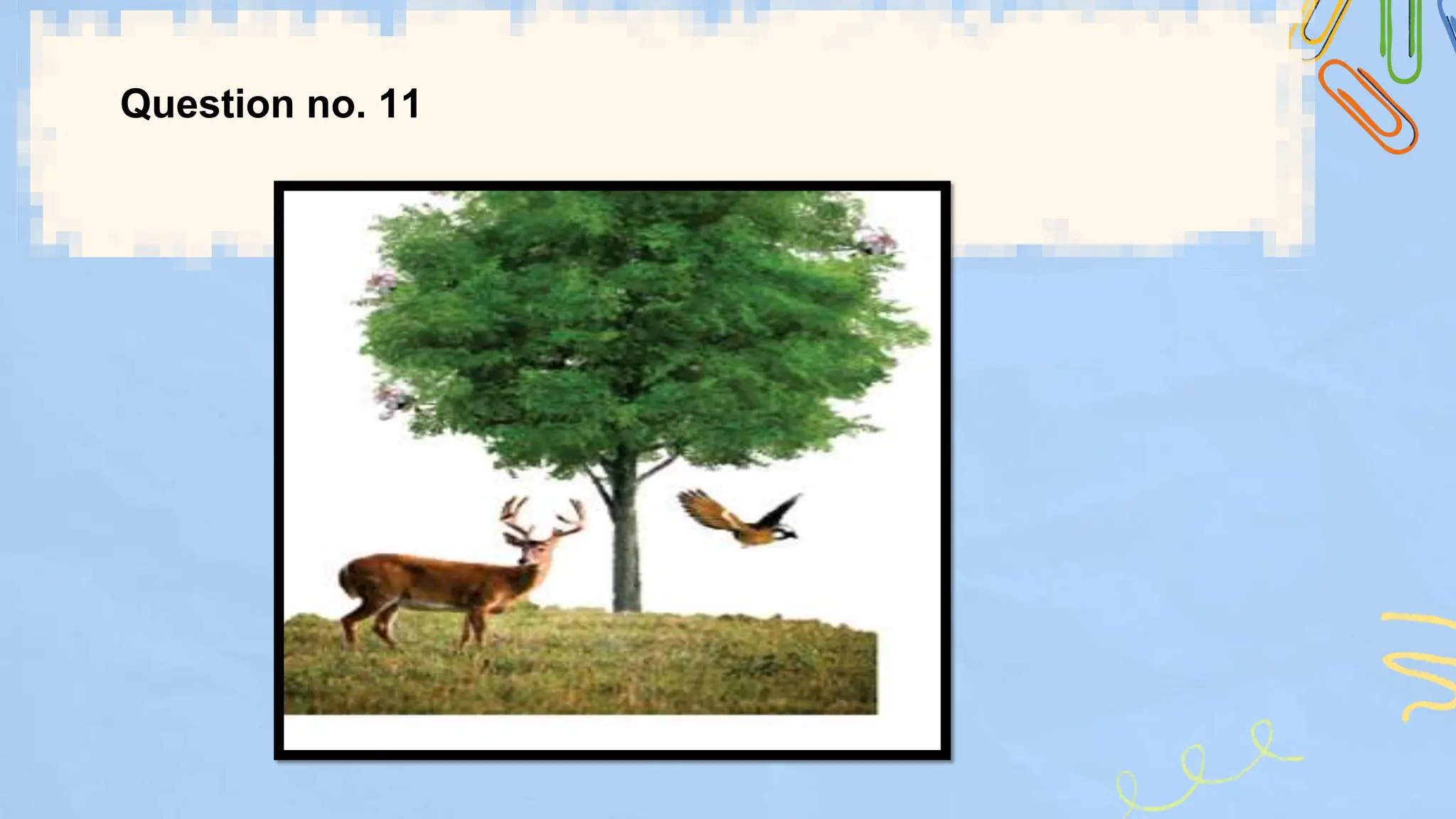 buzzer round ppt final.pptx competition | PPTX