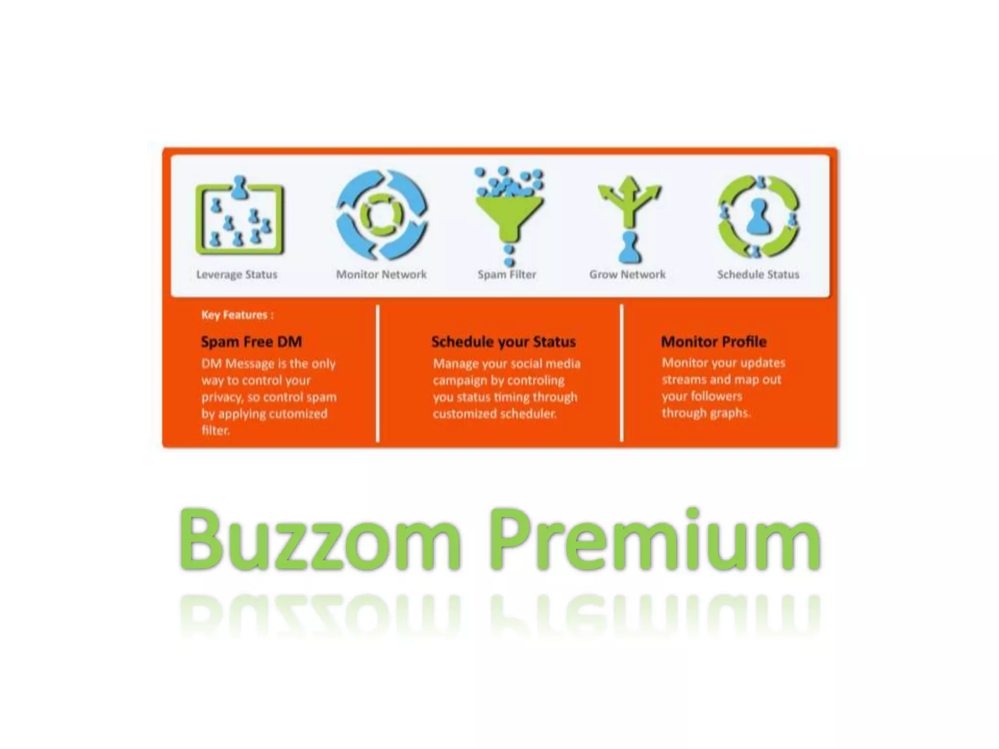 Buzzom Premium Concept | PPT
