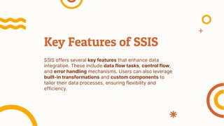 BuzzyBrains - Software Development & Digital Transformation Agency | PPT