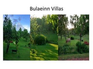 Bv new presentation | PPT