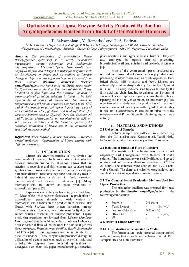 Optimization of Lipase Enzyme Activity Produced By Bacillus Amyloliquefaciens Isolated From Rock ...