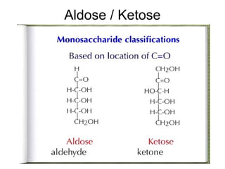 Carbohydrates chemistry | PPT