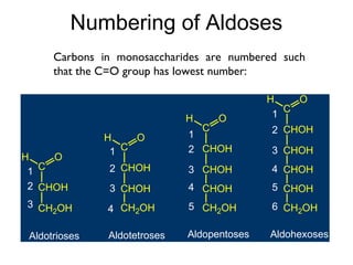 Carbohydrates chemistry | PPT