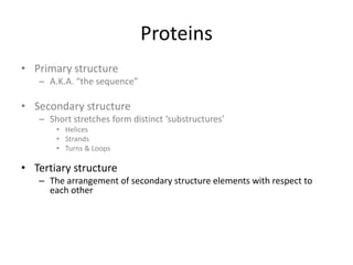 AMINO ACID | PPT