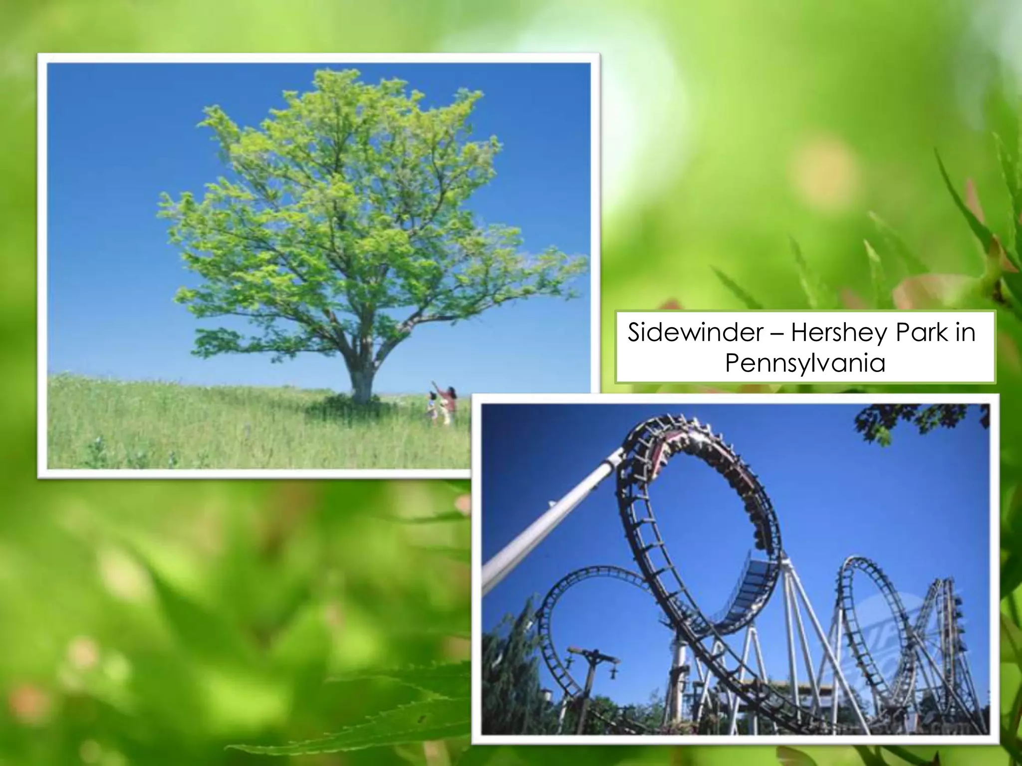 Bao Vang Imagineering Project | PPT