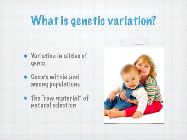 4 Genetics Sources Of Genetic Variation