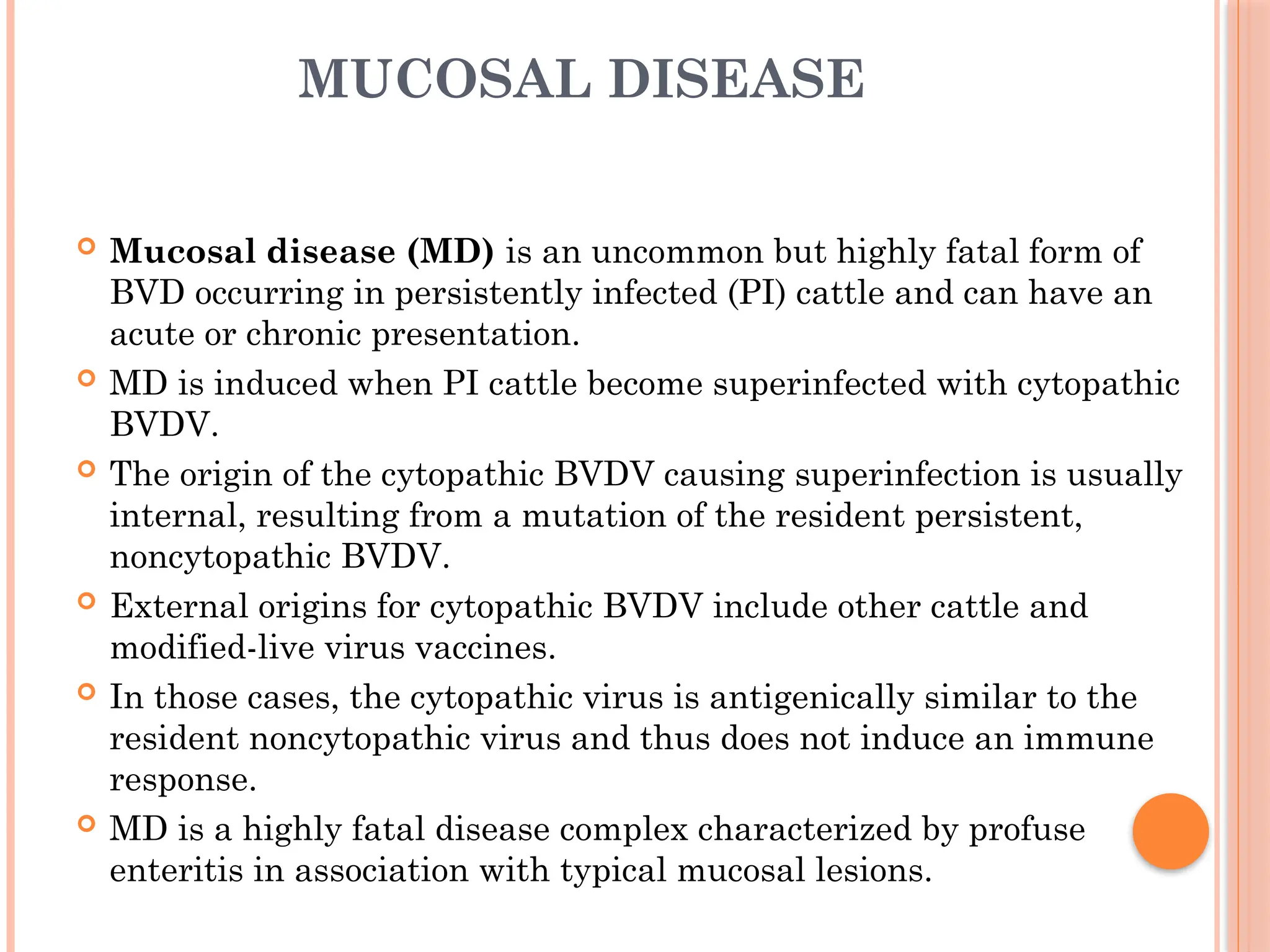 bovine viral diarrhoea and Mucosal Disease | PPTX