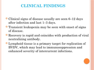 bovine viral diarrhoea and Mucosal Disease | PPTX
