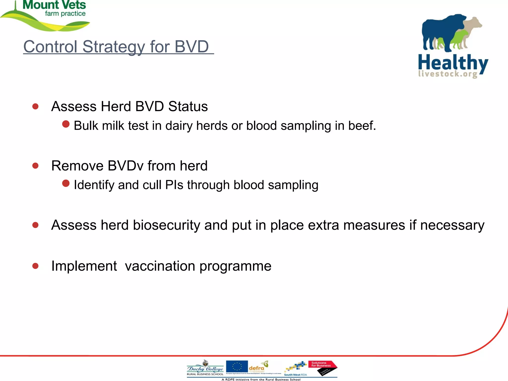 Bovine Viral Diarrhoea | PPT