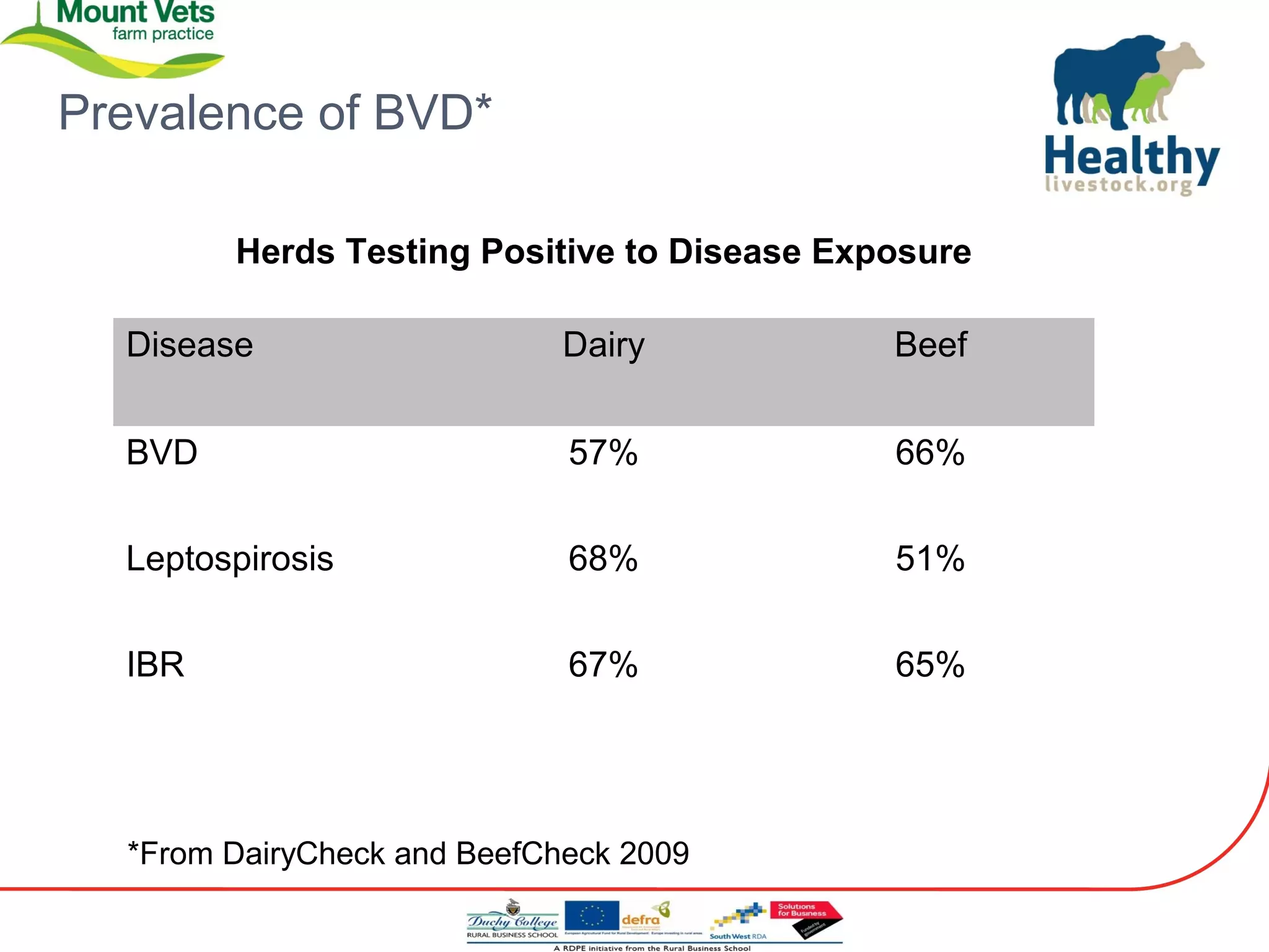 Bovine Viral Diarrhoea | PPT