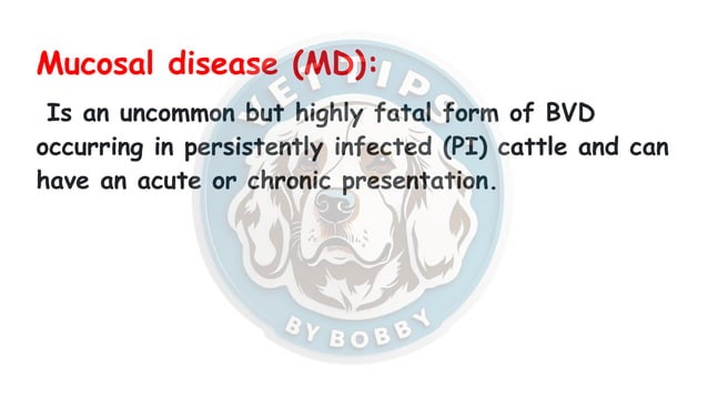 BVDpptx bovine medicine diseases now.pptx