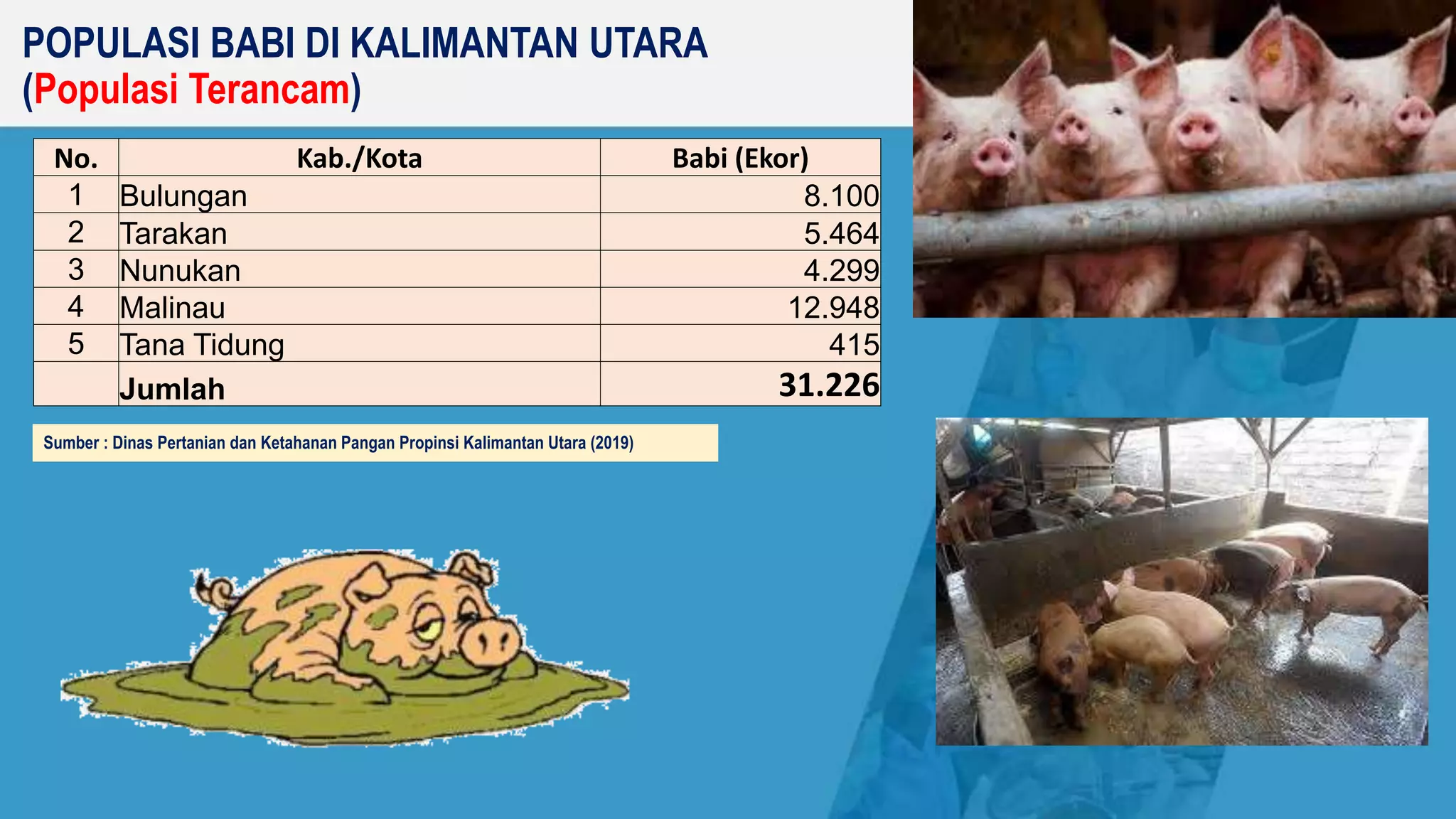 BVet-Banjarbaru--Surveilans ASF di Kalimantan.pptx