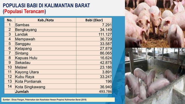 BVet-Banjarbaru--Surveilans ASF di Kalimantan.pptx