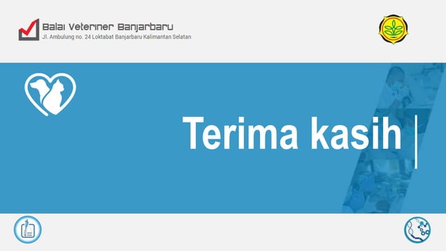 BVet-Banjarbaru--Surveilans ASF di Kalimantan.pptx