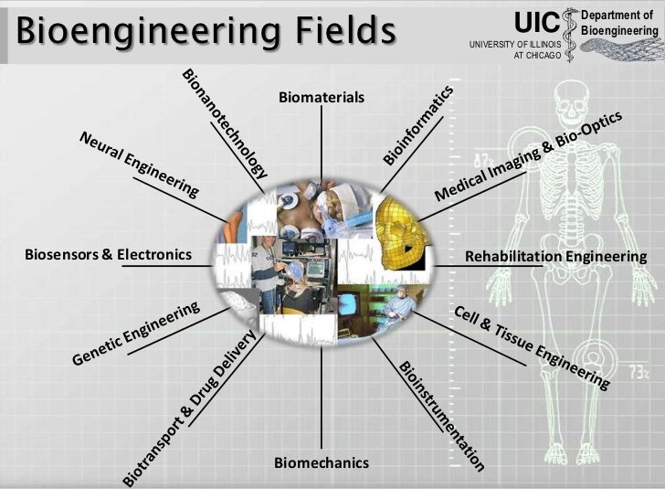 BVP High School Presentation