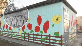 Bug vs Feature | PPT