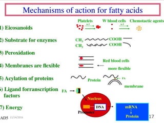 Moller Introduction - SOS International hospital | PPTX | Chemistry ...