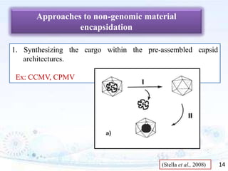 Biotemplates from plant viruses and their uses | PPT