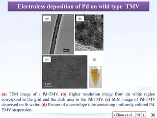 Biotemplates from plant viruses and their uses | PPTX