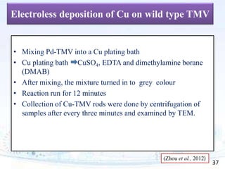 Biotemplates from plant viruses and their uses | PPTX