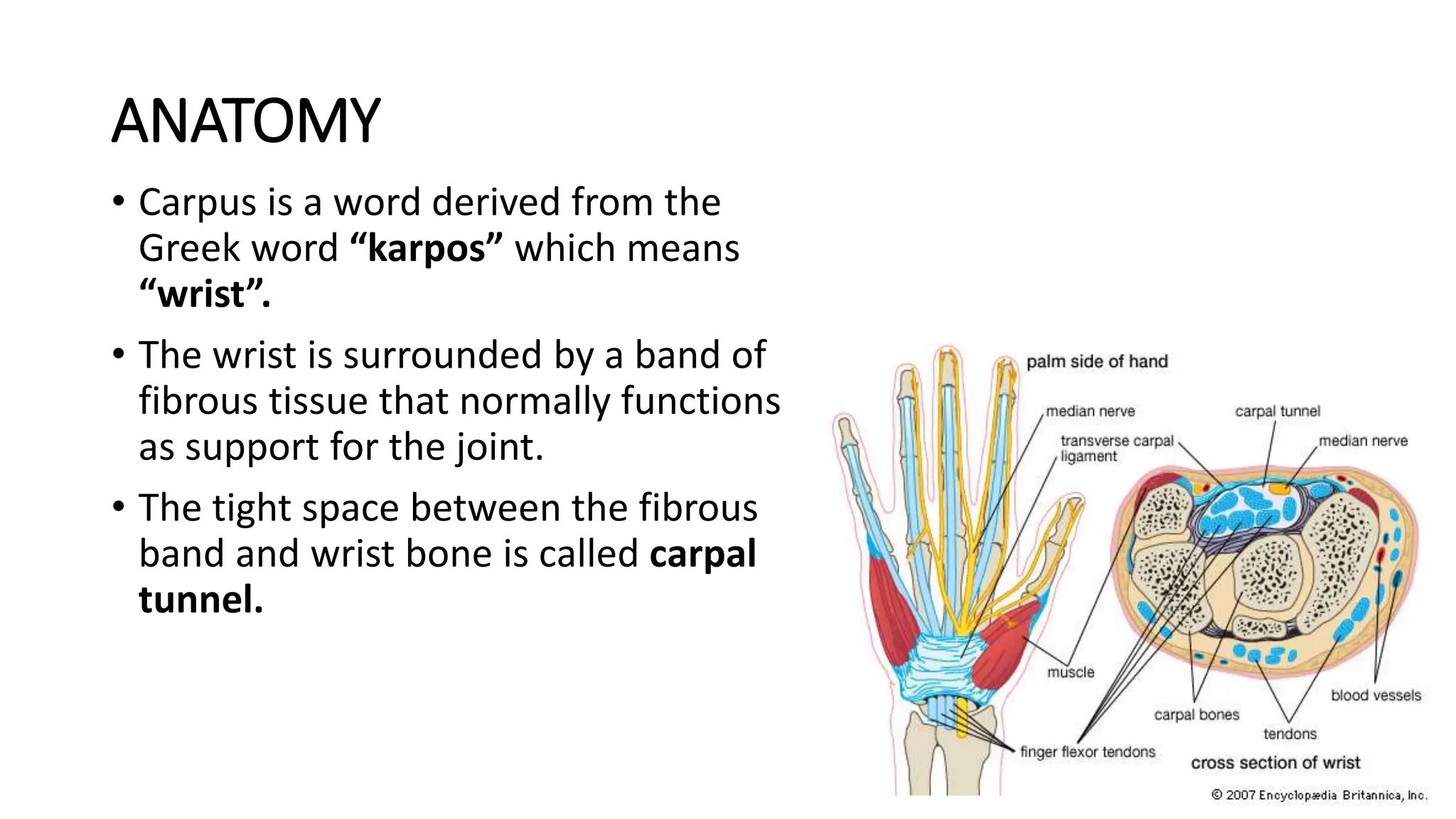 Carpal Tunnel Syndrome and Ganglion pptx | PPTX
