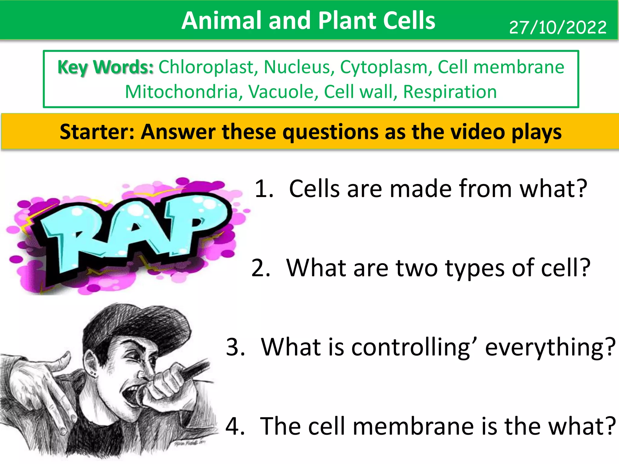 BWA-L2-Plant-and-Animal-Cells.ppt