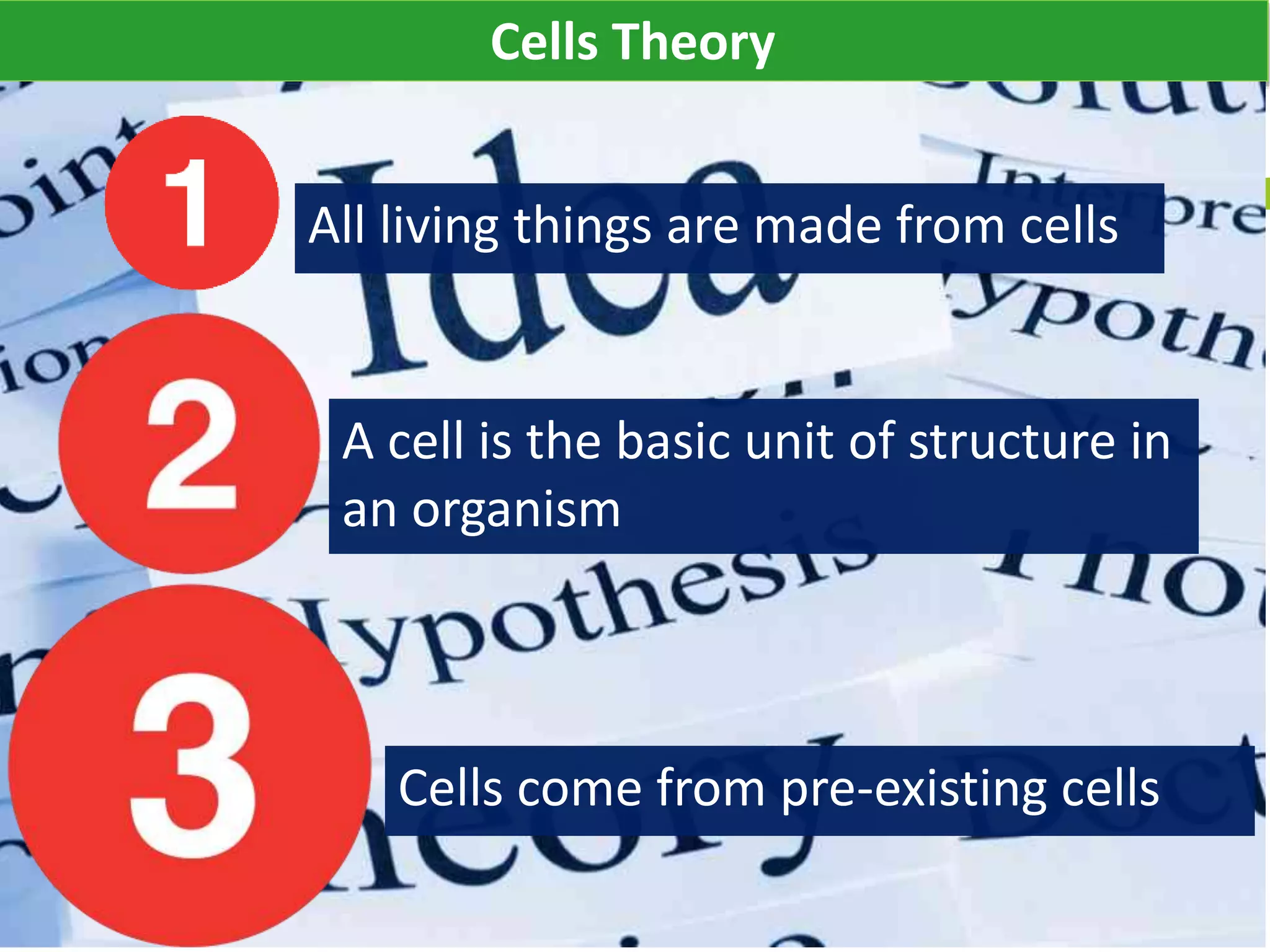 BWA-L2-Plant-and-Animal-Cells.ppt | Biological Sciences | Science