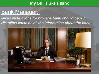BWA-L2-Plant-and-Animal-Cells.ppt