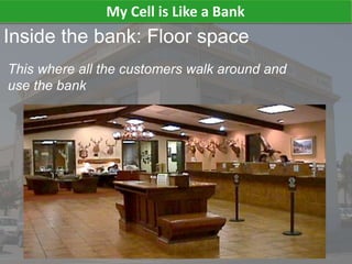 BWA-L2-Plant-and-Animal-Cells.ppt