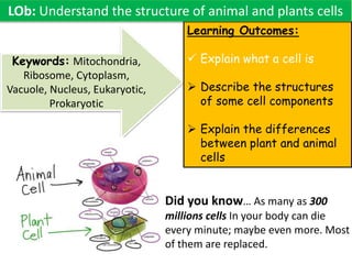 BWA-L2-Plant-and-Animal-Cells.ppt