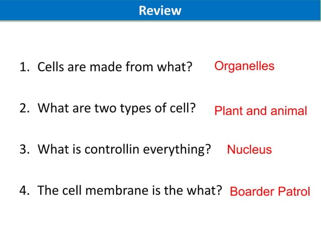 BWA-L2-Plant-and-Animal-Cells.ppt | Biological Sciences | Science