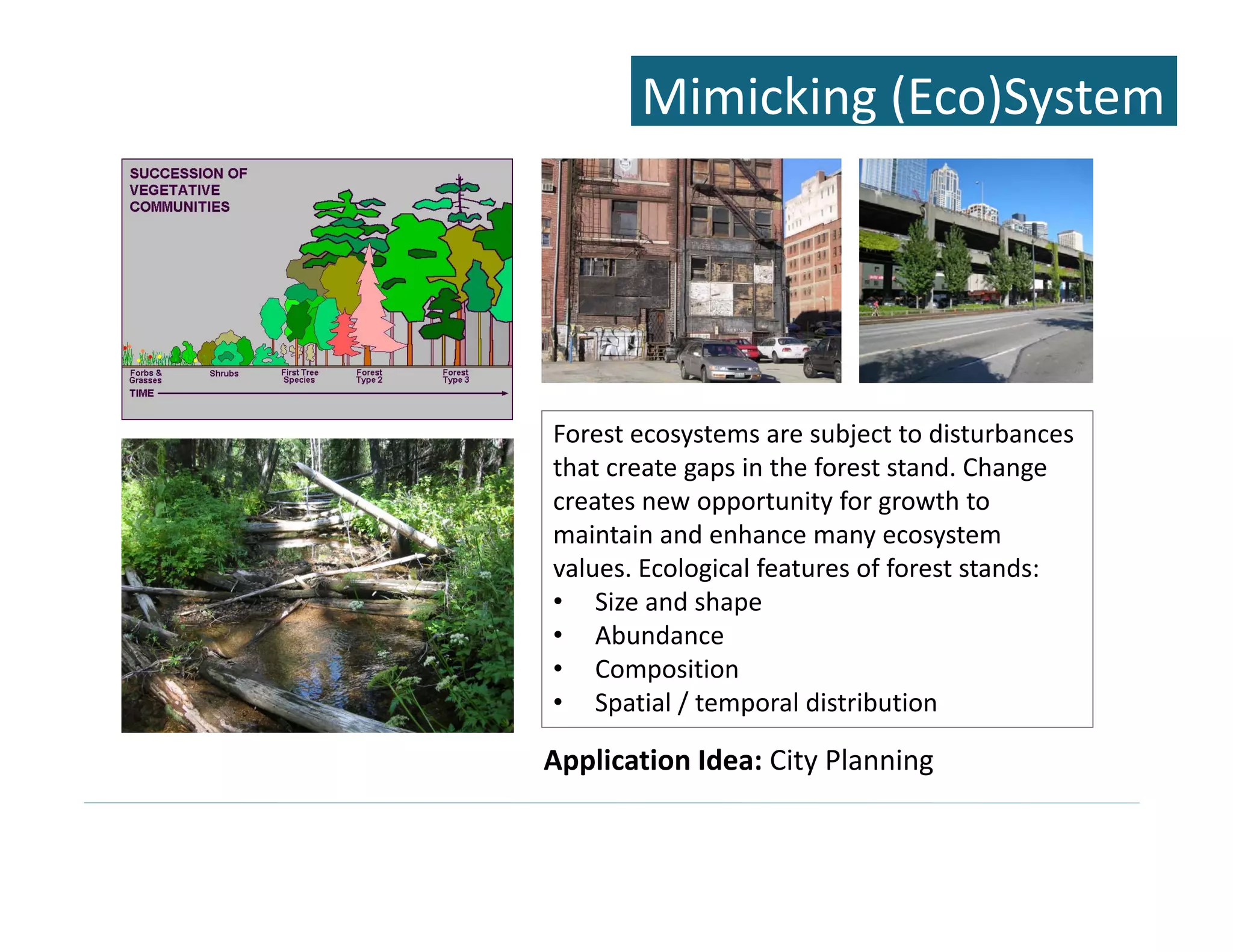 Biomimicry: Emulating Nature's Genius | PPT