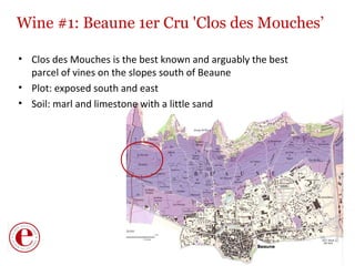 Premier Cru Côte de Beaune vs Côte de Nuits - Boston Wine Expo | PPT