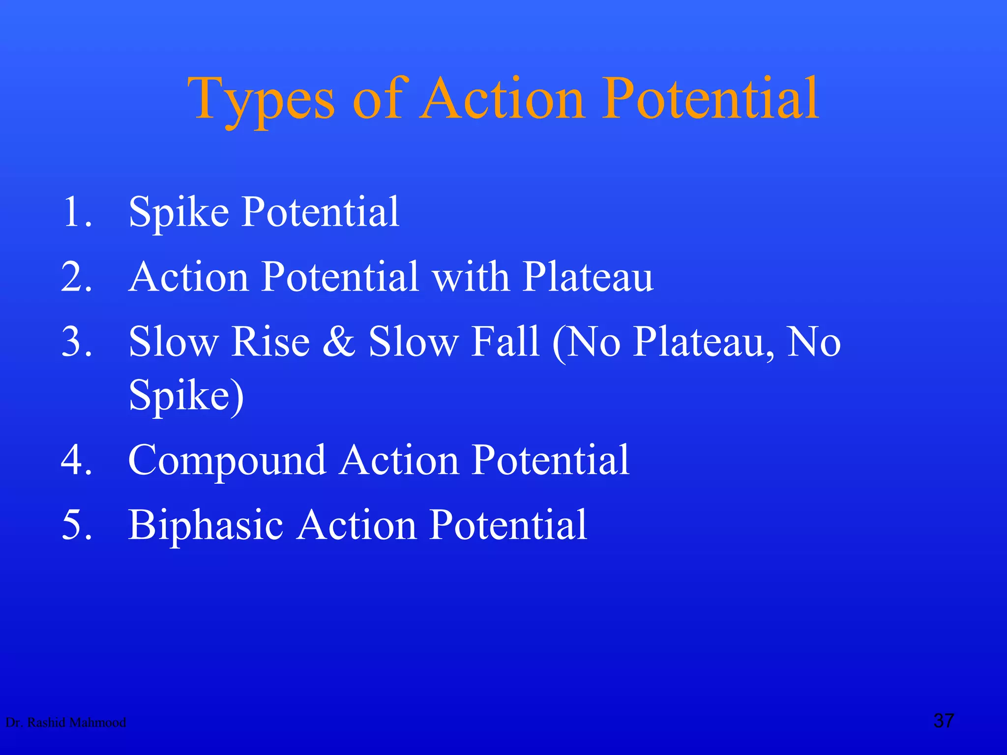Action Potential | PPT