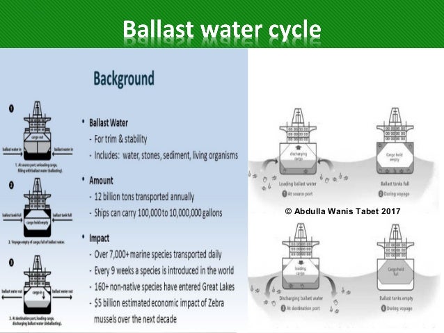 IMO's Ballast Water Management Convention 2004