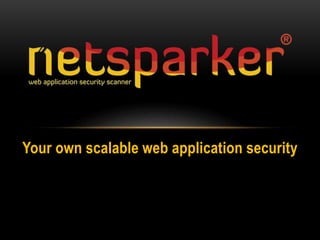 B&W Netsparker overview | PPTX