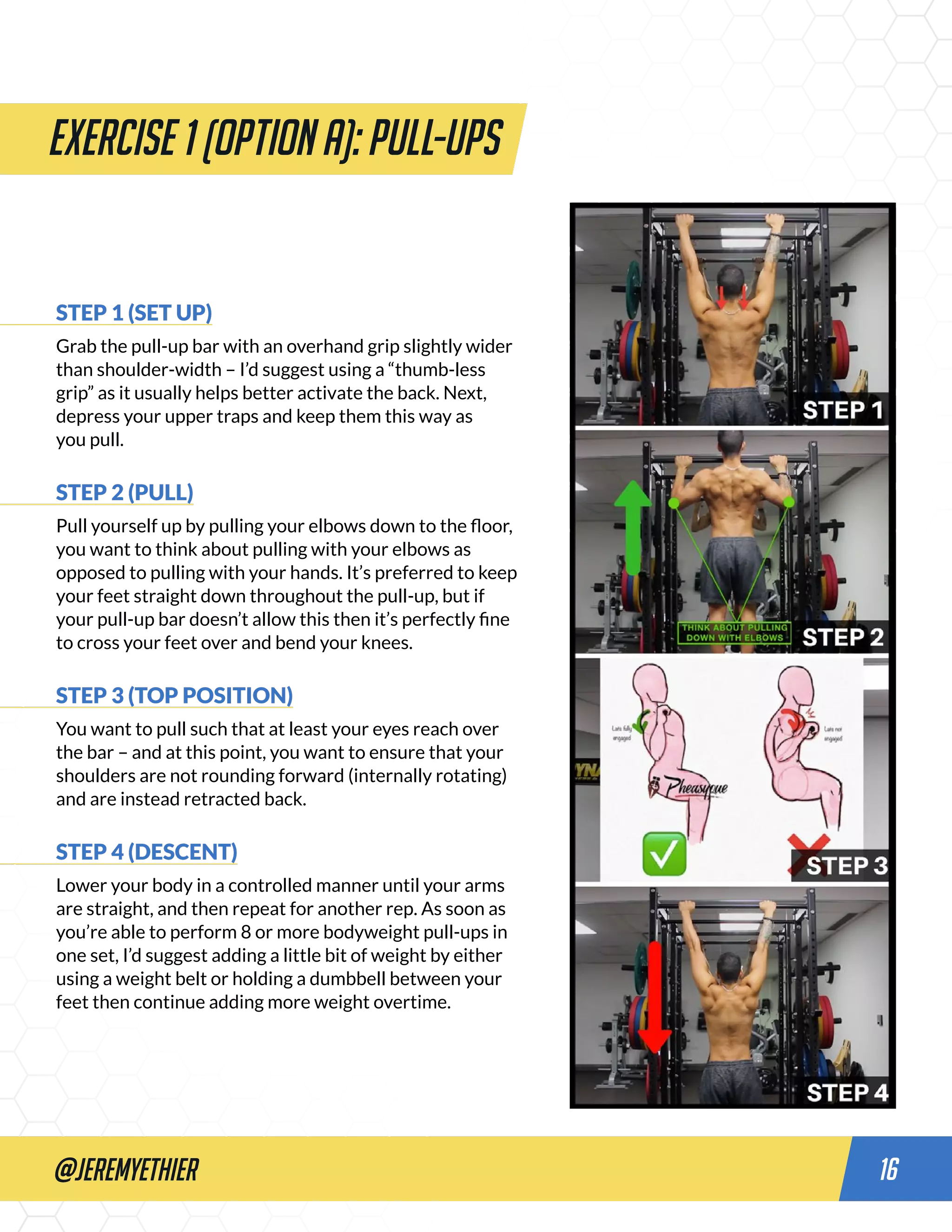 Push-Pull Workout: Achieve Balanced Strength and Muscle | PDF
