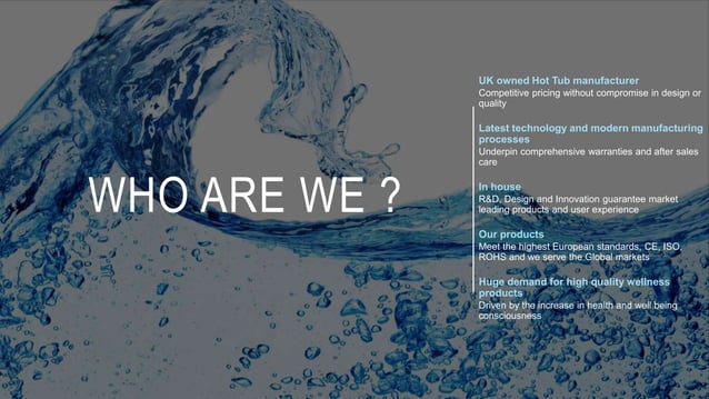 BWS who we are storyboard | PPT