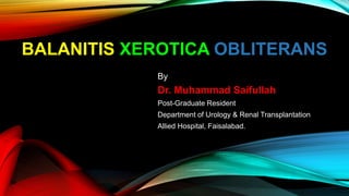 Balanitis Xerotica Obliterans / BXO / Penile Lichen Sclerosis | PPTX