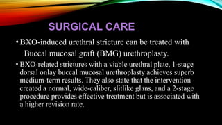 Balanitis Xerotica Obliterans Histology