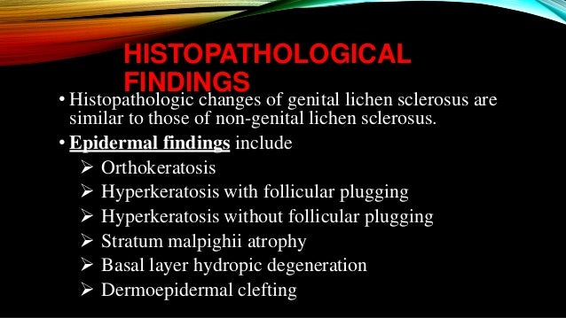 Lichen Sclerosis And Balanitis Xerotica Obliterans
