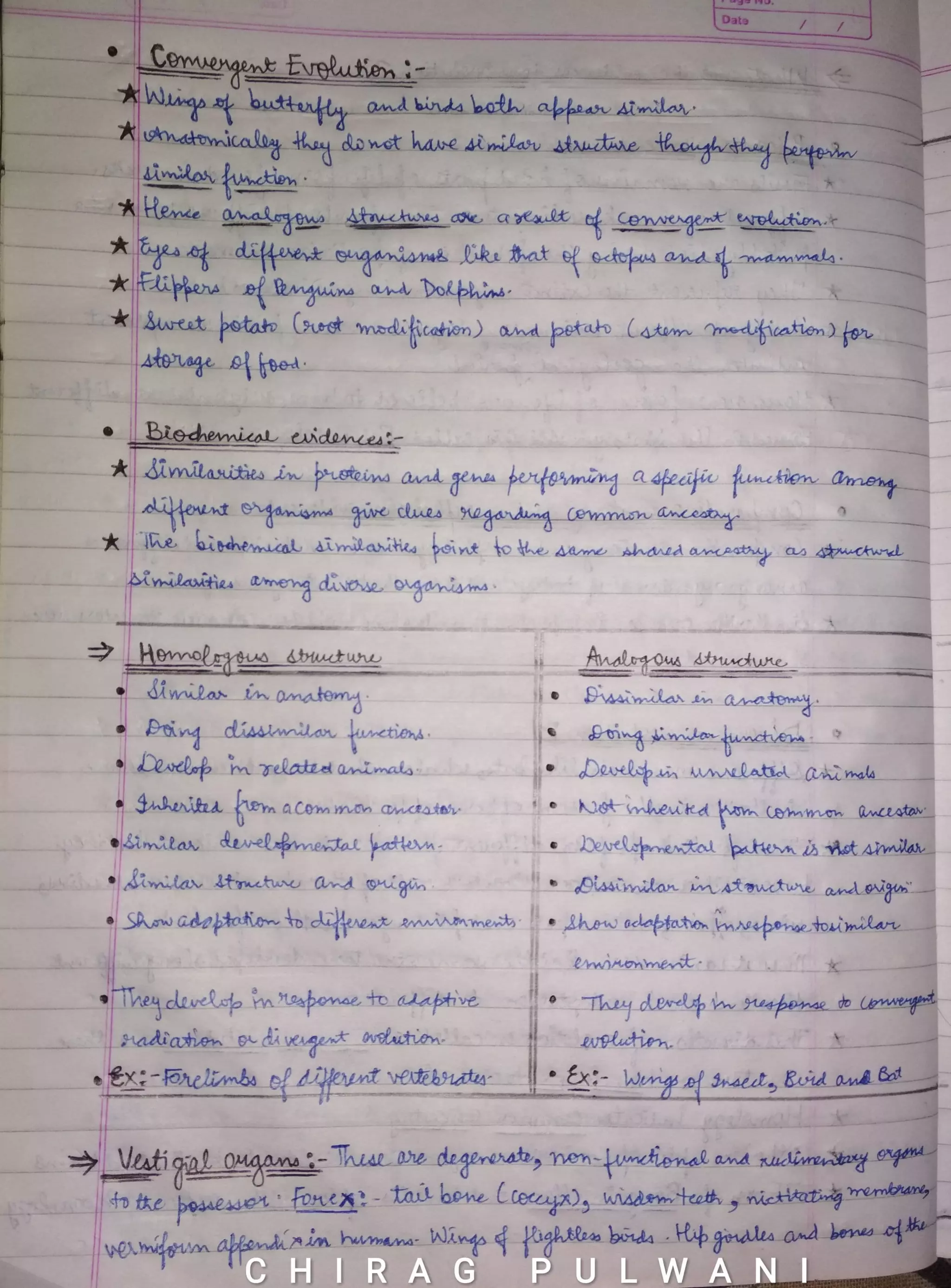 Ch 7 -evolution | PDF