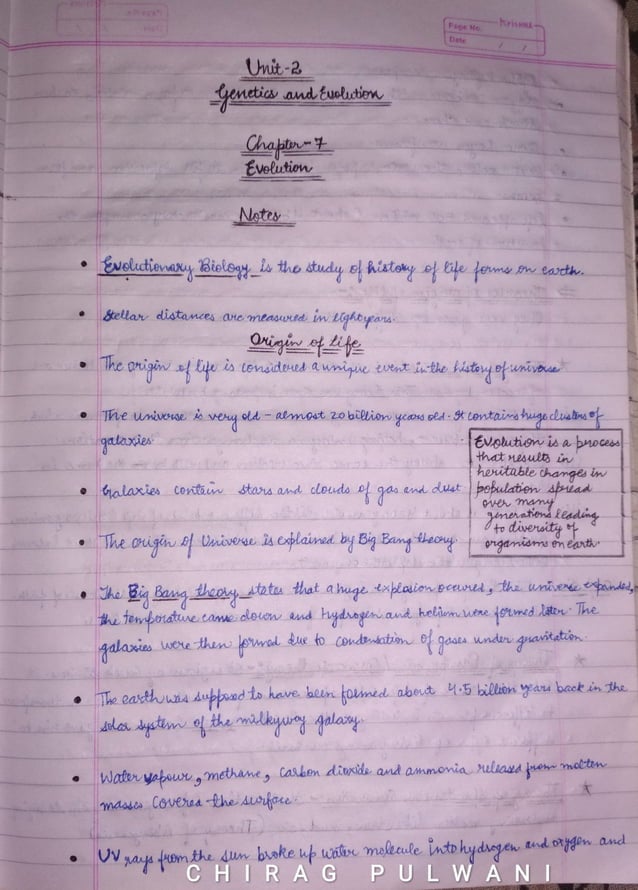 Ch 7 -evolution | PDF