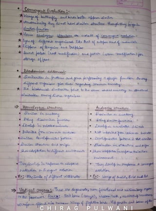 Ch 7 -evolution | PDF